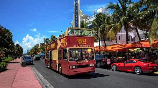12 Amusement Parks in Miami to Experience Thrill & Adventure!
