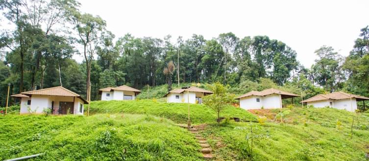 30 Coffee Plantation Stays in Coorg 2025: Starting from ₹990