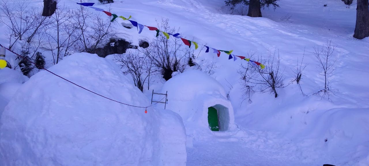 Best Activities In Manali