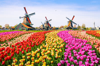 Amsterdam in March | Why Visit, Weather And Top Things to Do!