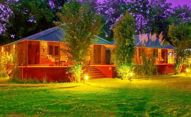 Ranthambore Tourism, India: Places, Best Time & Travel Guides 2023