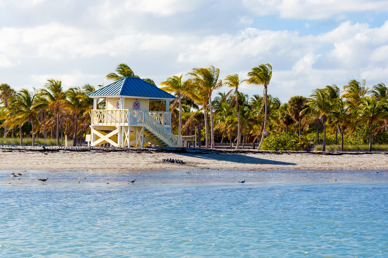 25 Places to Visit in Miami, Tourist Places & Top Attractions
