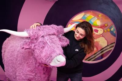 Big Fun Museum: Step into a World of Wonder