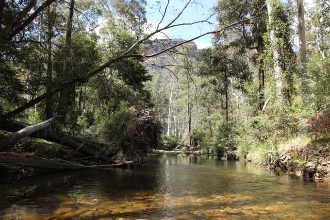 Blue Mountains National Park: Scenic Views, Hiking & Wildlife