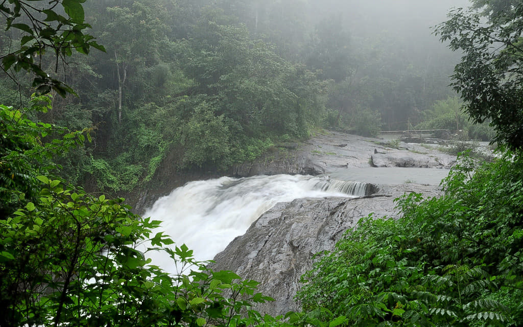 7 Waterfalls in Wayanad You Won't Want to Miss in 2026
