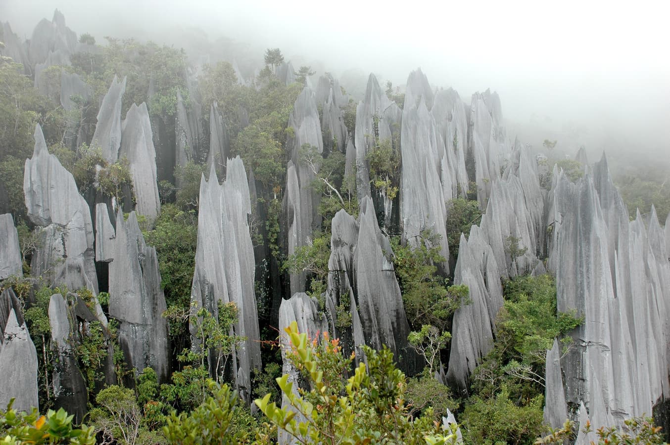 57 Places to Visit in Sabah, Tourist Places & Top Attractions