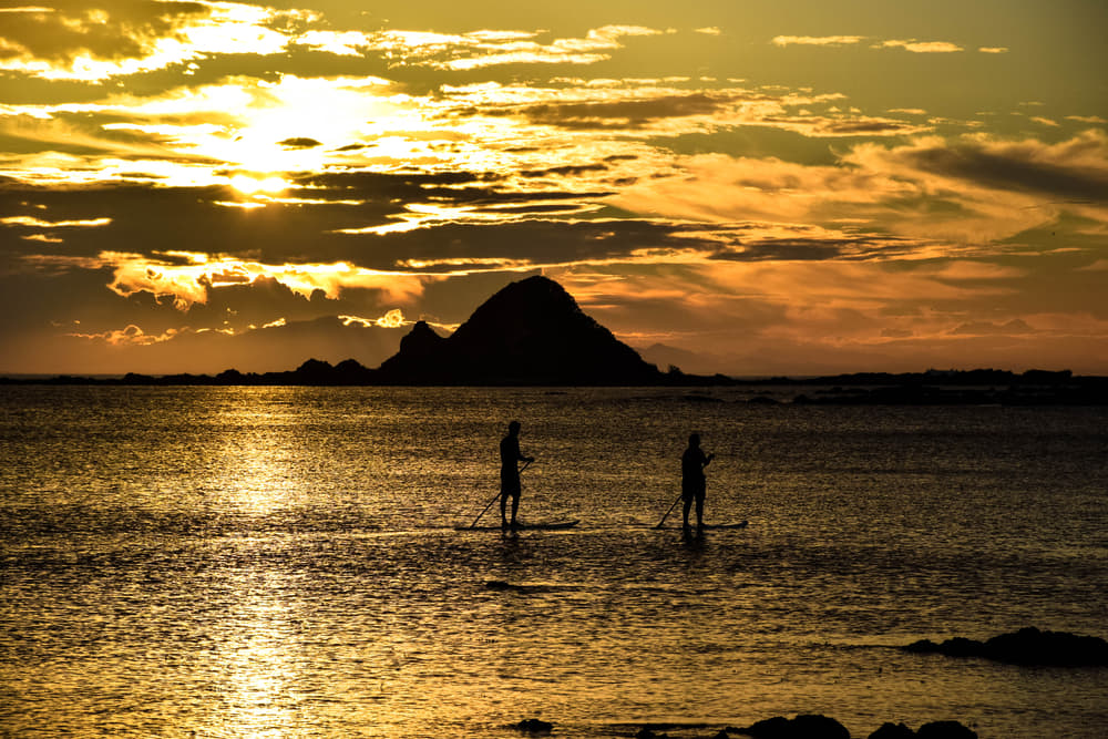 15 Places to Visit in Wellington, Tourist Places & Attractions