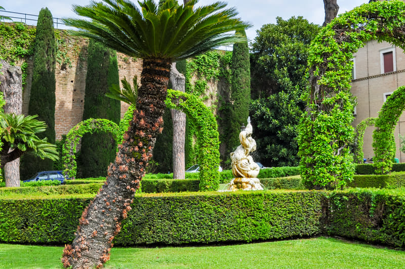 Explore the Vatican Gardens | A Serene Oasis in Rome