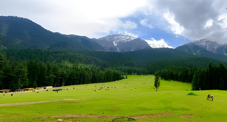 15 Places to Visit in Pahalgam, Tourist Places & Top Attractions