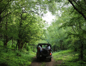 14 Places to Visit in Pali, Tourist Places & Top Attractions
