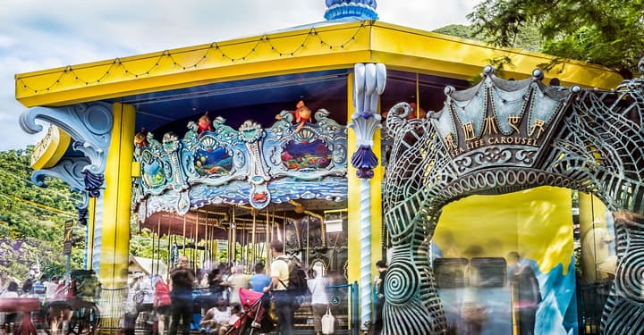 Ocean Park Hong Kong Rides | Everything You Need to Know