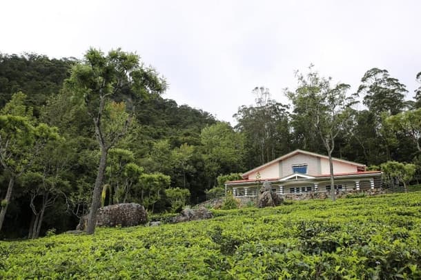 10 Homestays in Ooty with Kitchen, Book & Get Upto 50% Off