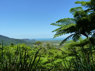9 Things To Do In Daintree National Park To Relax With Nature
