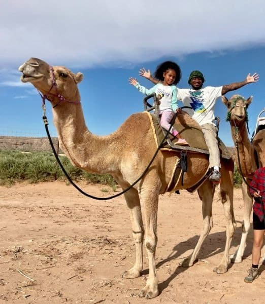 15 Drive-Through Zoos In USA | Witness The Amazing Wildlife