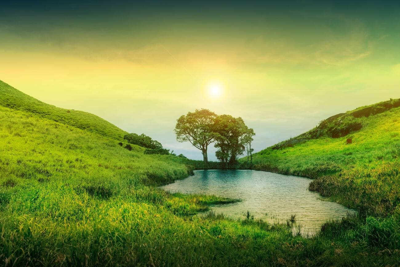 Best of Coorg & Wayanad | Misty Meadows and Scenic Trails