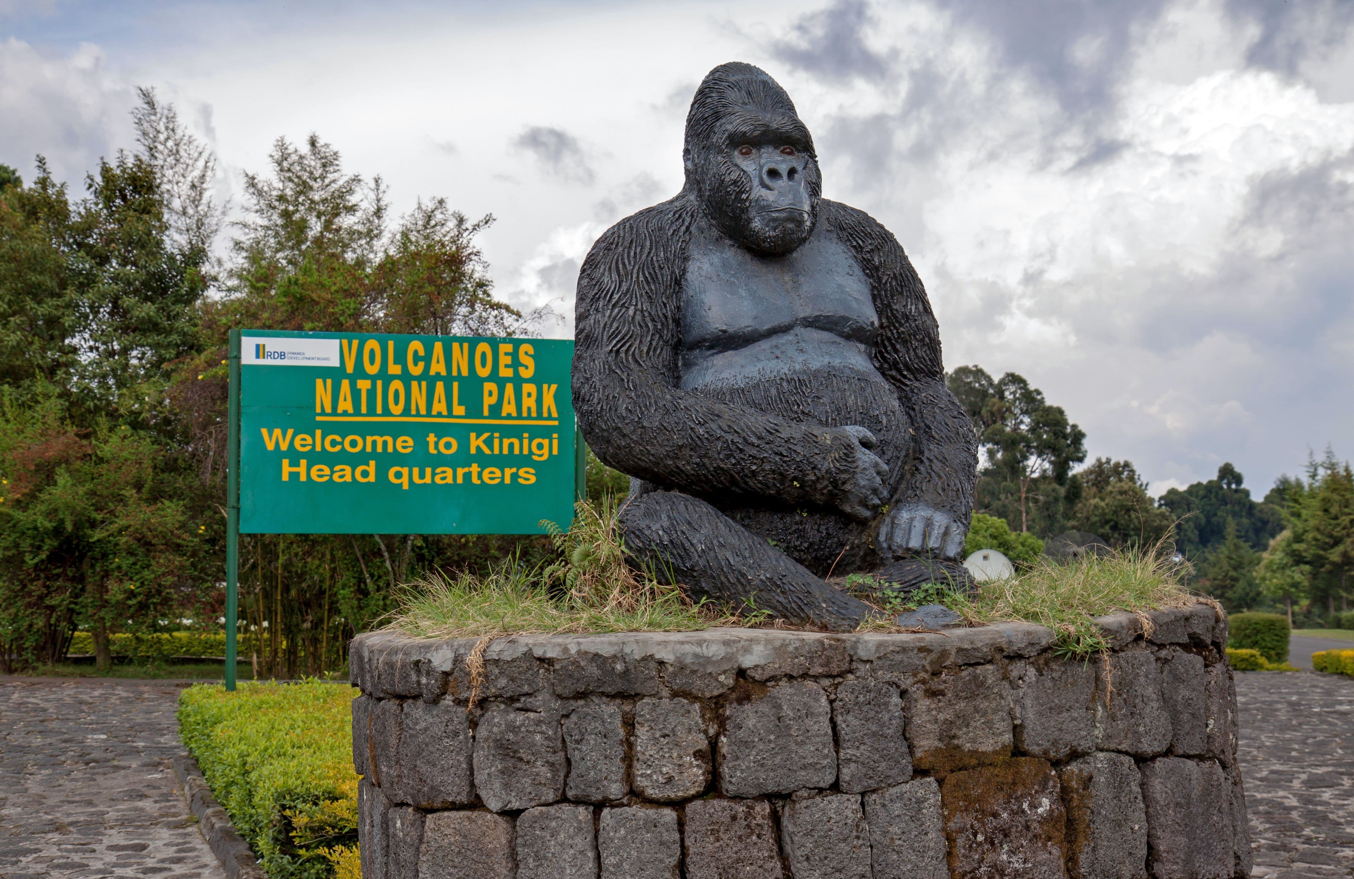 Volcanoes National Park, Rwanda | Travel Guide, Tours & More!