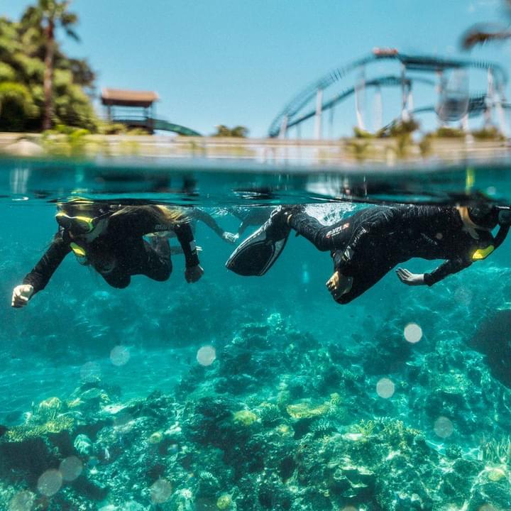 12 Thrilling Rides at Seaworld Gold Coast That You Can't Miss!