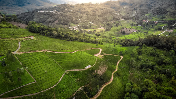 Bangalore Ooty Coorg Package