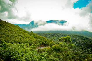 Munnar Tourism, India: Places, Best Time & Travel Guides 2023