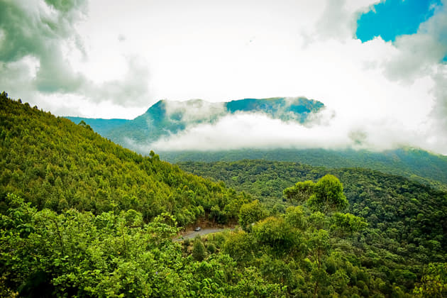 Munnar Tourism, India: Places, Best Time & Travel Guides 2023