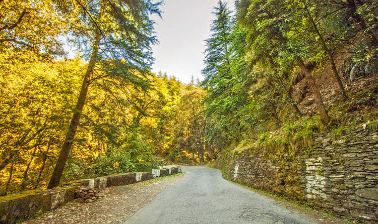 Chail, Solan: How To Reach, Best Time & Tips