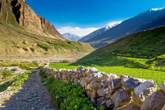 Group Tour to Spiti Valley