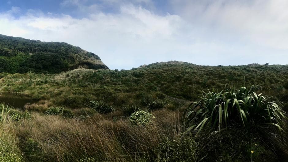 Auckland Attraction Tickets, Activities & Tours | My Auckland Pass