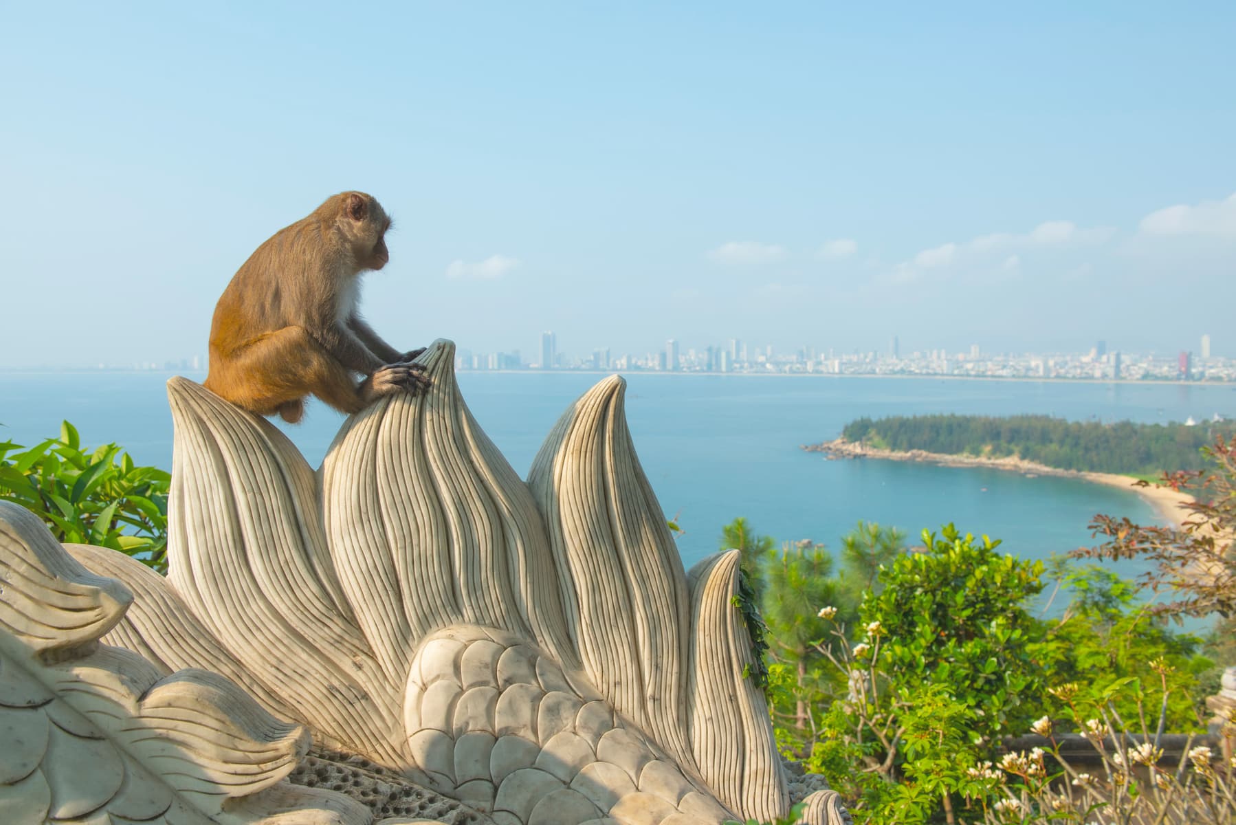 Monkey Hill Phuket: Home To Over A Thousand Different Species
