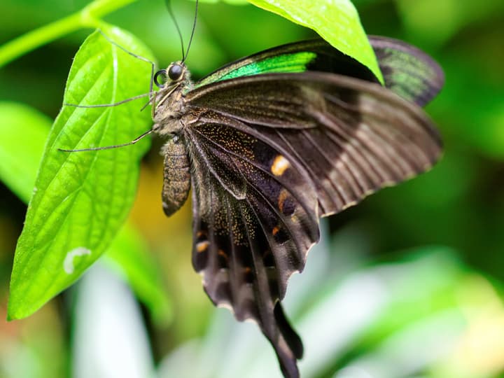 Singapore Science Center: Where Learning and Fun Come Together