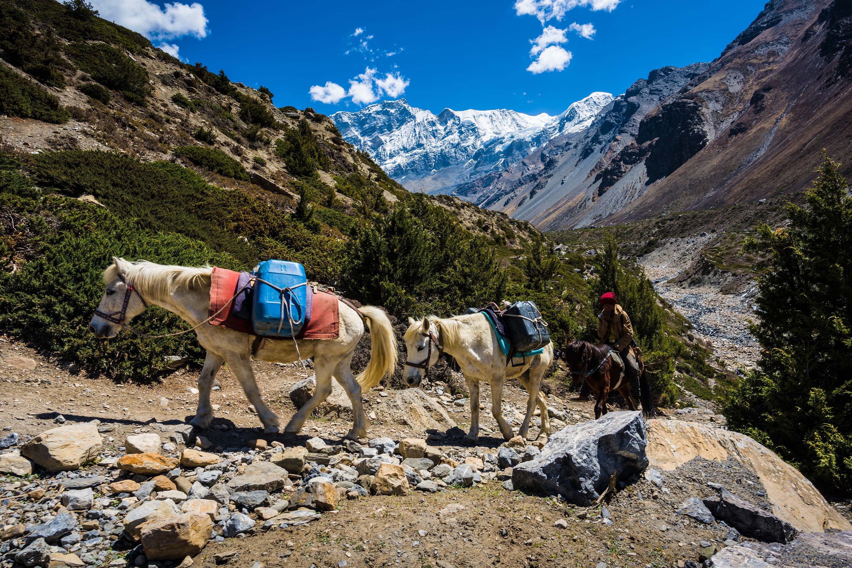 Umling La Pass, Ladakh: How To Reach, Best Time & Tips