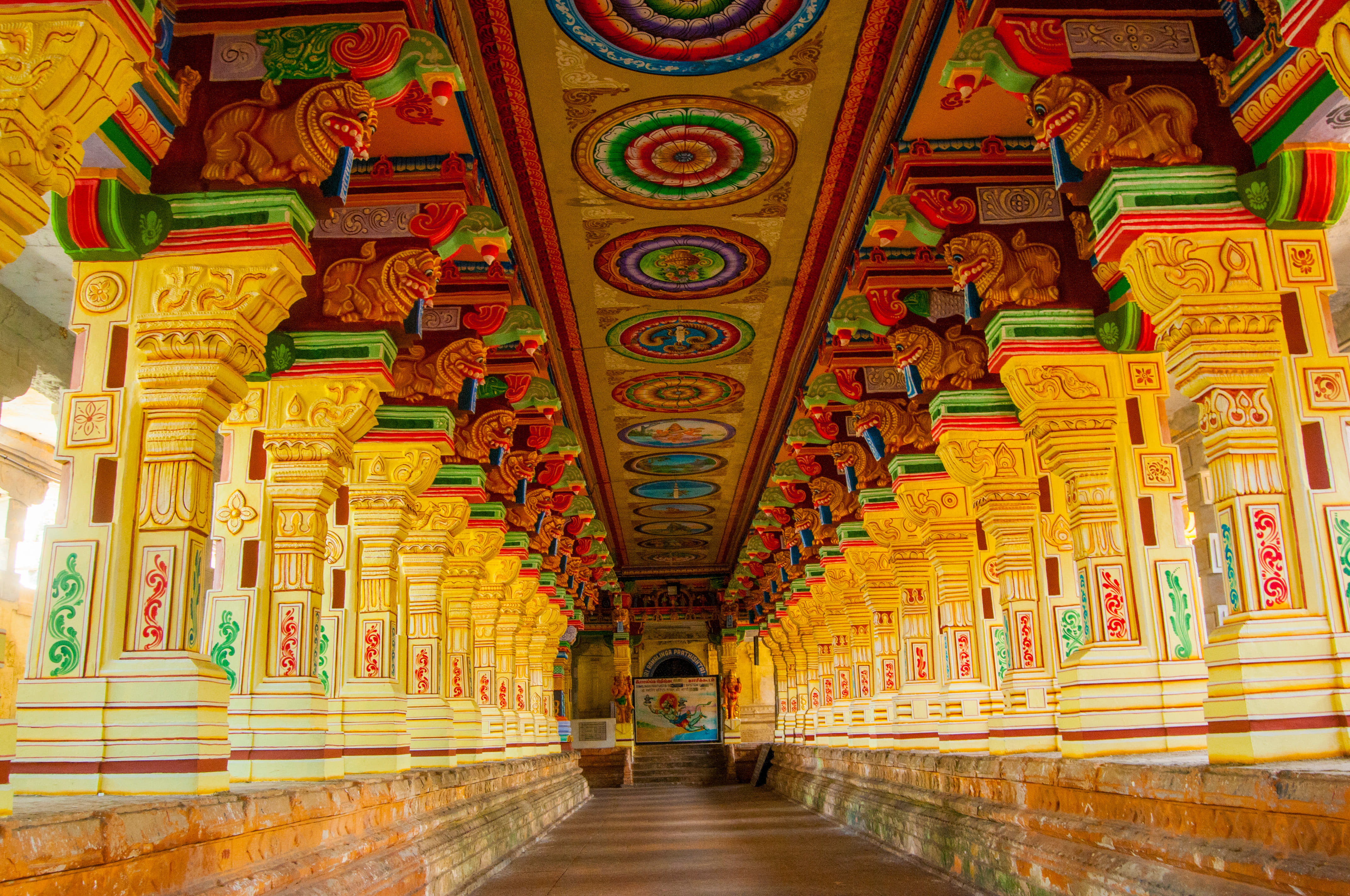 Exploring Tamil Nadu | Journey Through Sacred Temples & Seaside Wonders