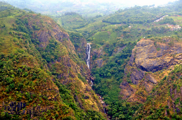 10 Hill Stations near Vellore: 2024 Updated