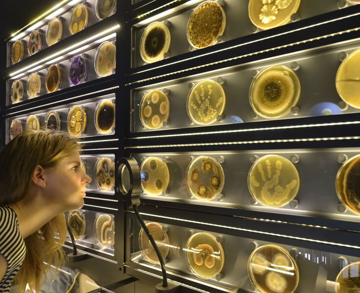 Micropia Tickets Amsterdam | Explore the World of Microbes