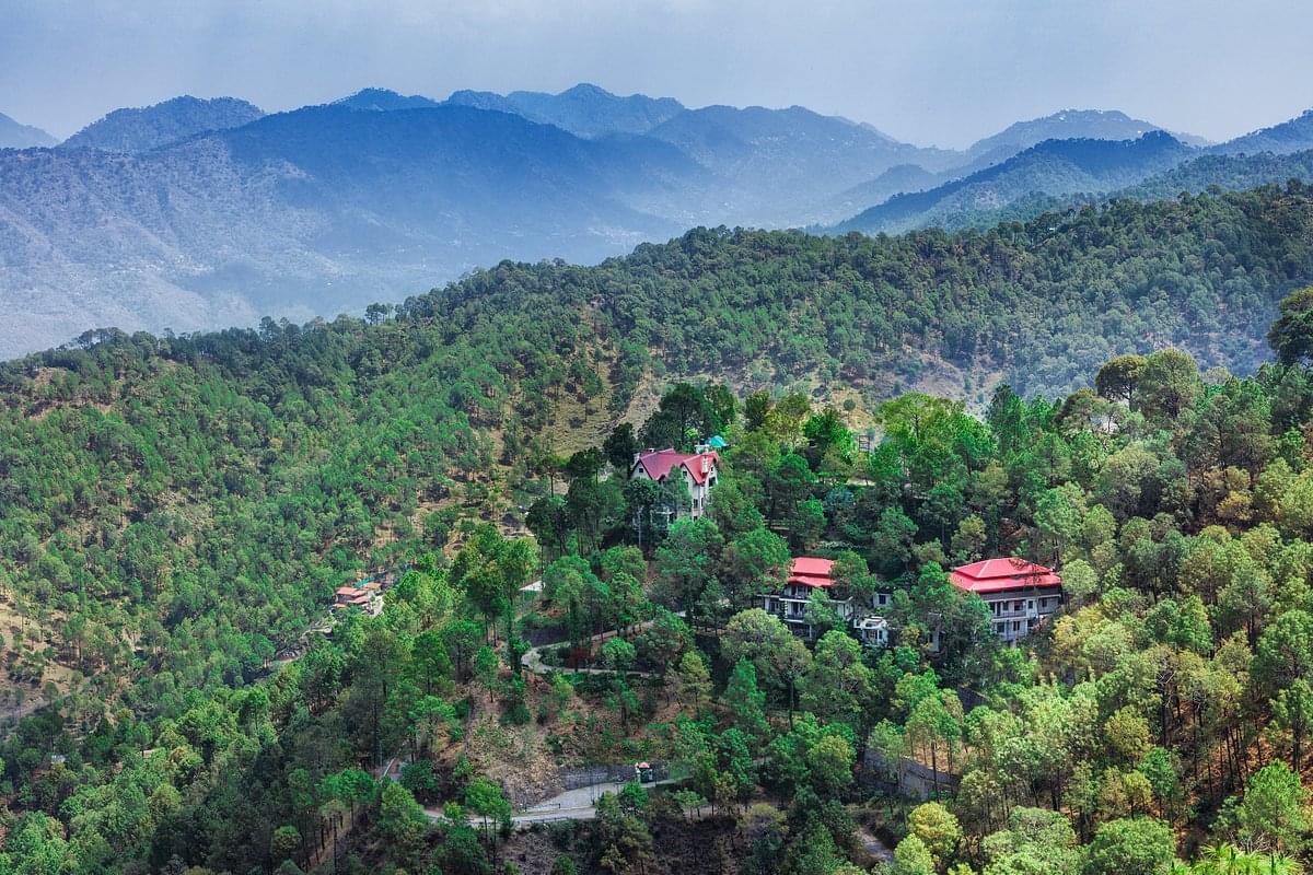 Gilbert Trail, Kasauli: How To Reach, Best Time & Tips