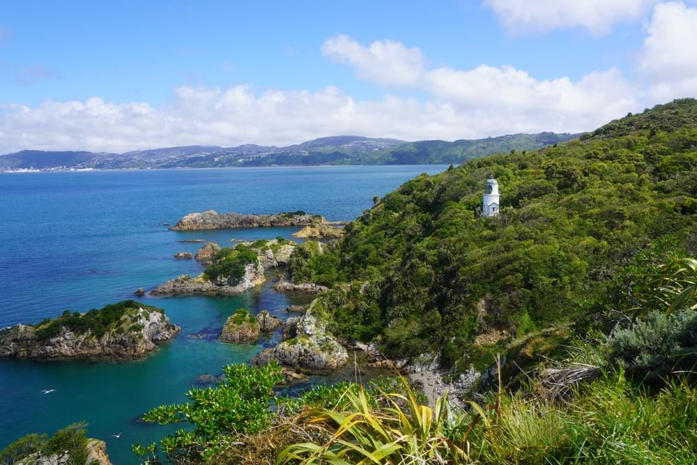 15 Places to Visit in Wellington, Tourist Places & Attractions