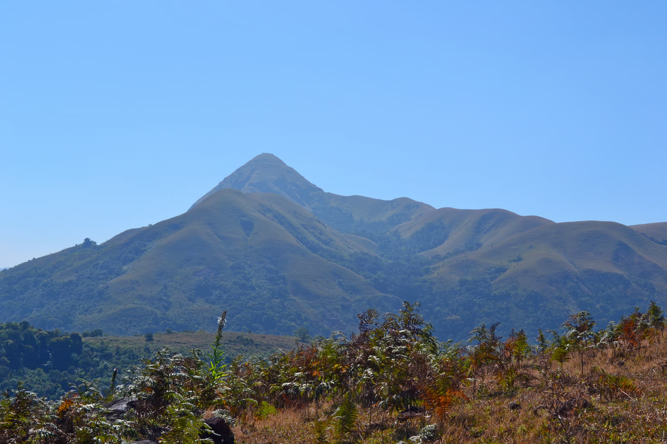 20 Places to Visit in Sakleshpur, Tourist Places & Attractions