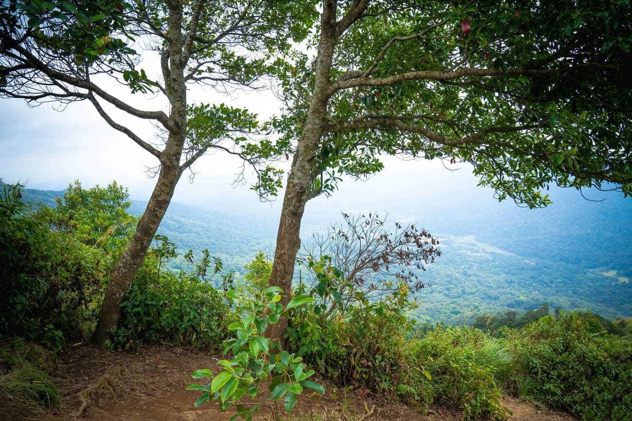 Coorg Package for Couple