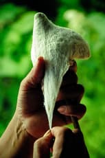 Saqijk8w7clufbjgexra4tjhkd2a umden