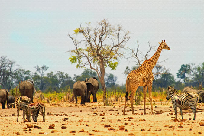 30 Places to Visit in Zimbabwe, Tourist Places & Top Attractions