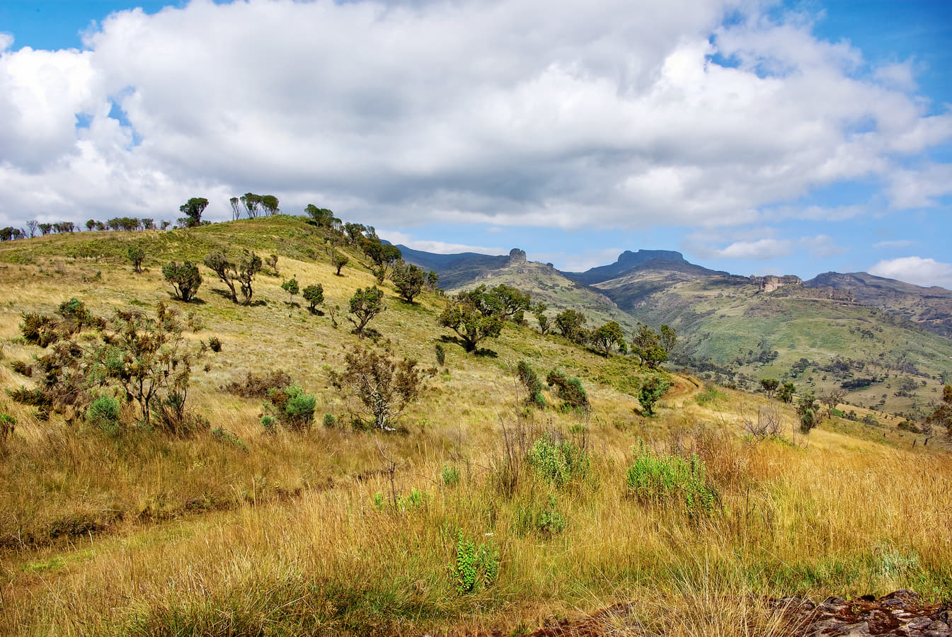 10 Places to Visit in Kitale, Tourist Places & Top Attractions