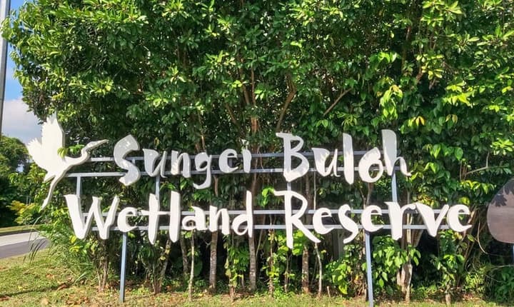 12 Things to Do in Coney Island Singapore for Fun Time!