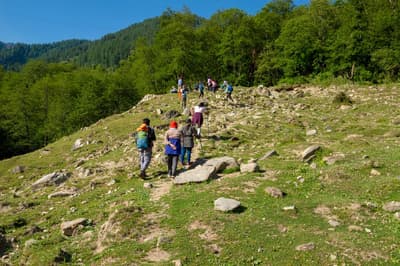 Chakrata Trek, Uttarakhand - Book Now | Hey Himalayas