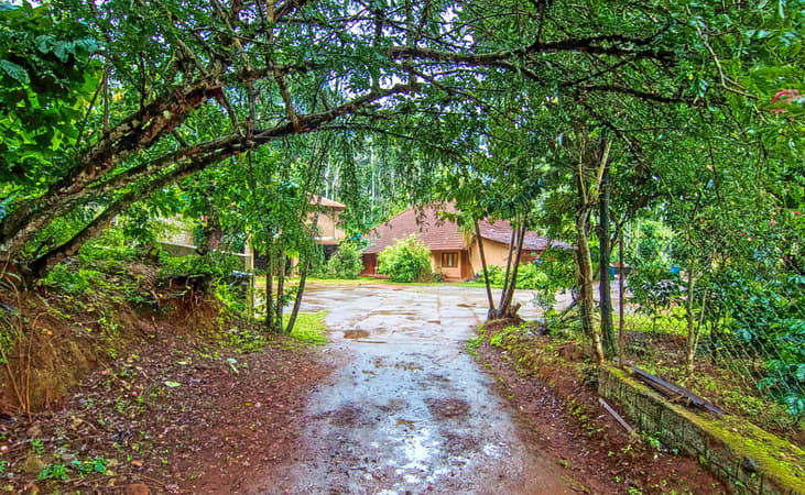30 Coffee Plantation Stays in Coorg 2026: Starting from ₹990