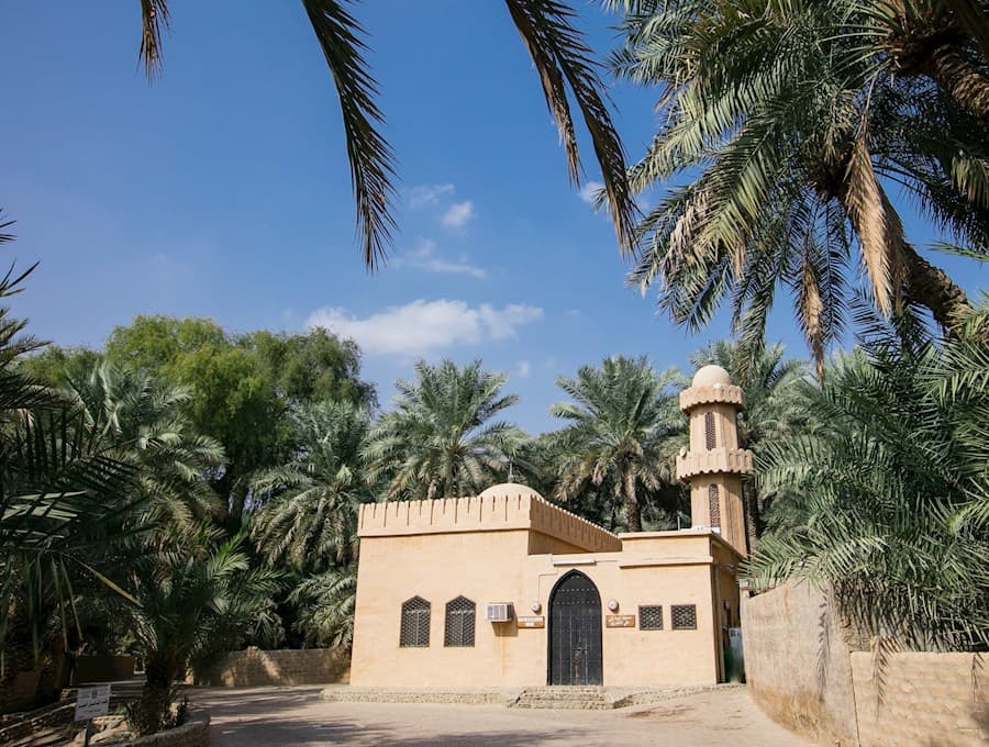 10 Places to Visit in Al Ain, Tourist Places & Top Attractions