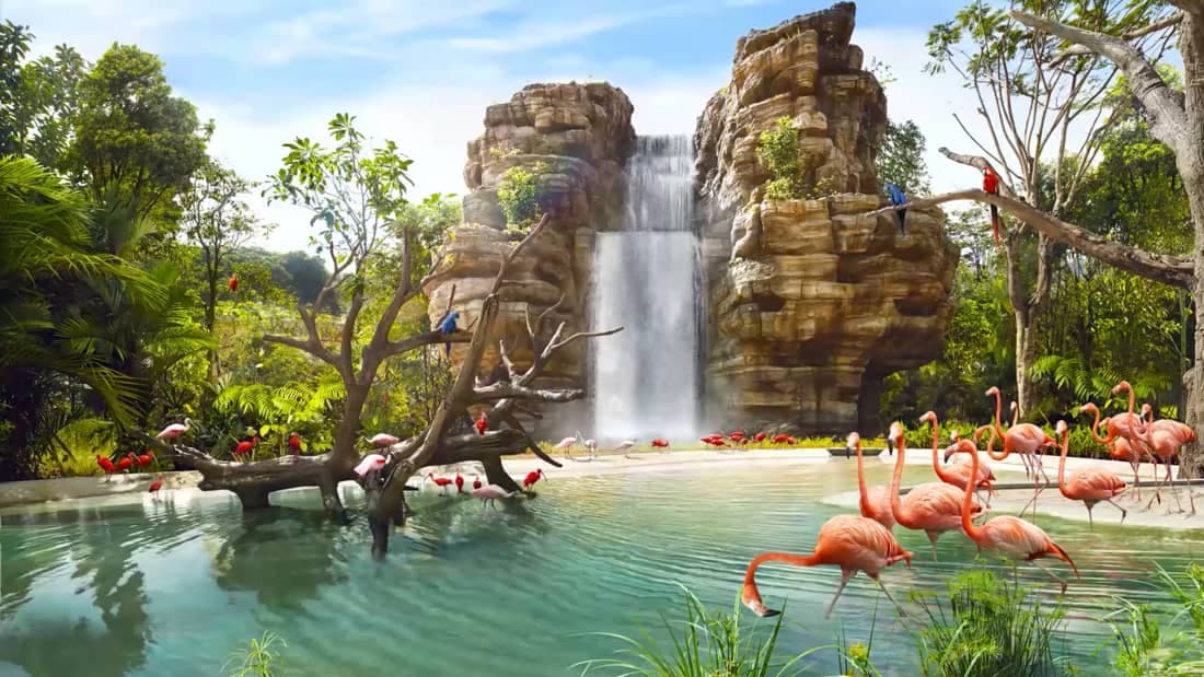 Bird Paradise Singapore Tickets | Get Best Deals & Discounts