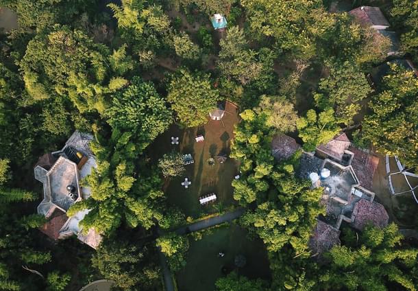 9 Best National Parks in Madhya Pradesh - Where the Wild Meets Life!