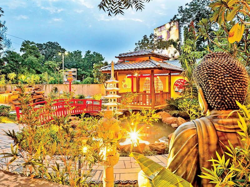 Kaizen Sunrise Garden | Fasci Garden