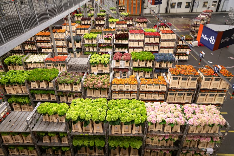 Things to Do in Amsterdam Noord | Waterfront to Architectures