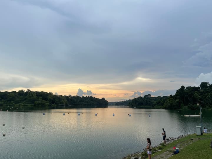 Mac Ritchie Reservoir Guide: Exploring Singapore's Enchanting Nature Oasis