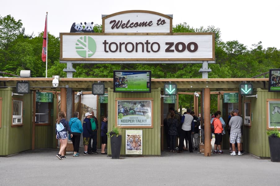 Toronto Attraction Tickets, Activities & Tours | My Toronto Pass